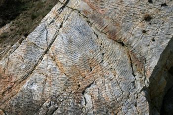 10.3 Classification of Metamorphic Rocks – Physical Geology – H5P Edition