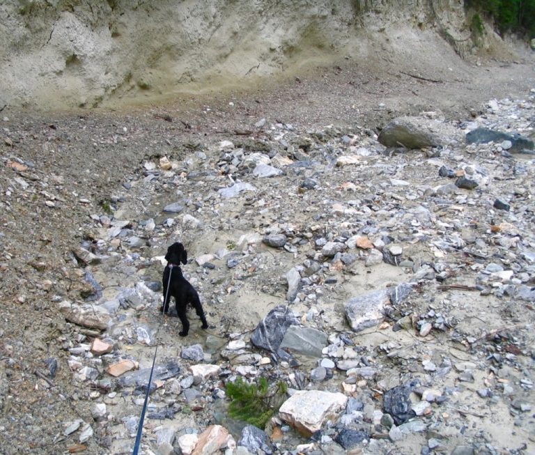 8.4 Weathering and Erosion Produce Sediments – Physical Geology – H5P ...