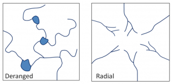 14.2 Drainage Basins – Physical Geology – H5P Edition