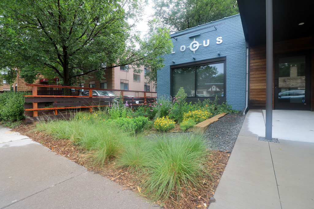 Plants for Green Infrastructure Projects – Red Seal Landscape ...