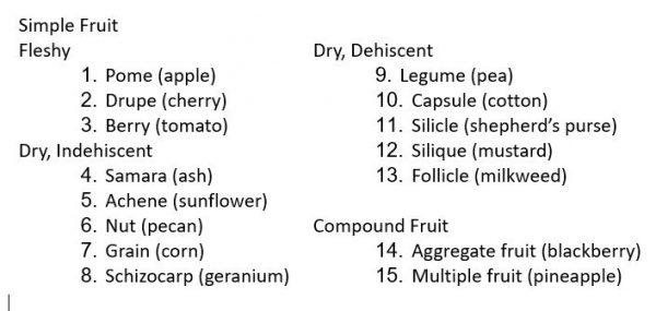 Plant Morphology – Flowers and Fruit – Red Seal Landscape ...