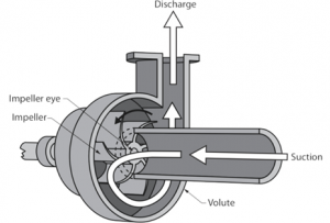 Learning Task 1 – Block B: Water Services and Distribution Systems