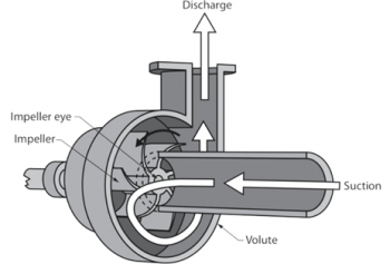 Learning Task 1 – Block B: Water Services and Distribution Systems