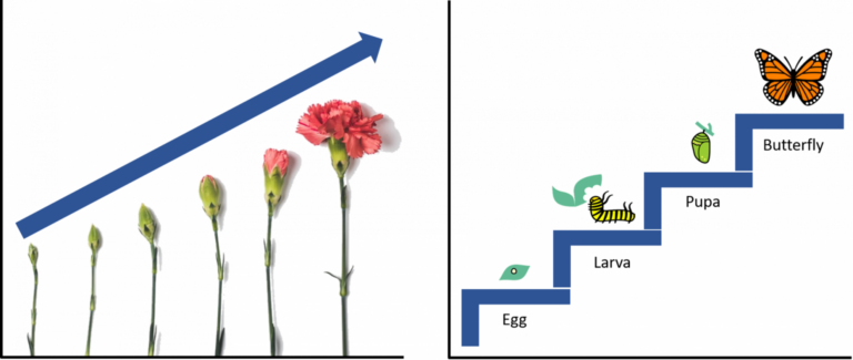 Lifespan Development Introduction – Introduction to Psychology