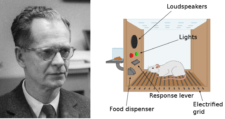 Operant Conditioning – Introduction to Psychology