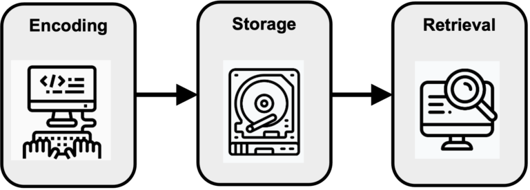 Memory Models and Systems – Introduction to Psychology