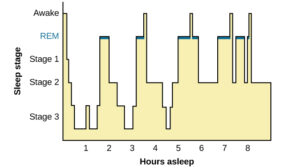 Sleep and Why We Need Sleep – Introduction to Psychology