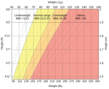 Hunger, Eating, and the Motivation Behind Our Food Choices ...