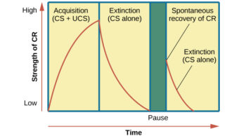 Classical Conditioning – Introduction to Psychology