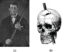 The Brain and Spinal Cord – Introduction to Psychology