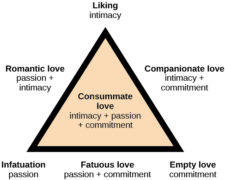 Interacting with Others – Introduction to Psychology