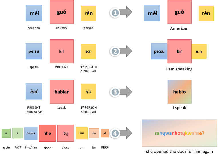 3.3 Morphology of Different Languages – Psychology of Language