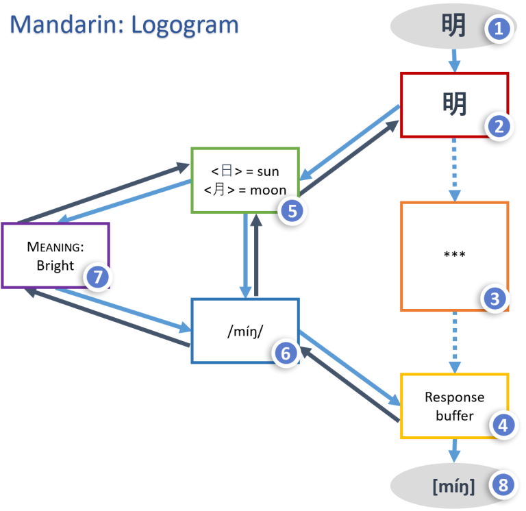 8.1 Reading Models – Psychology of Language