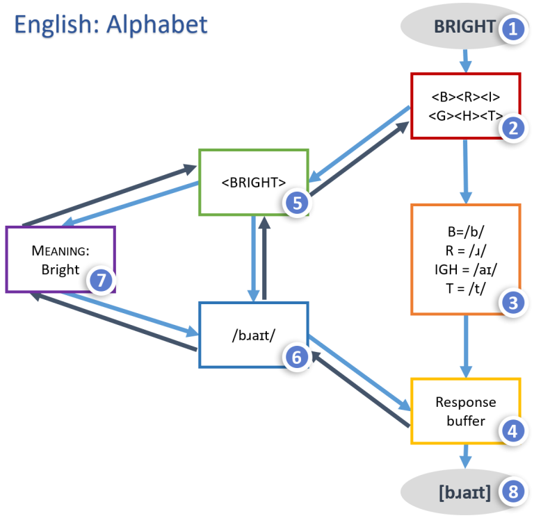 8.1 Reading Models – Psychology of Language