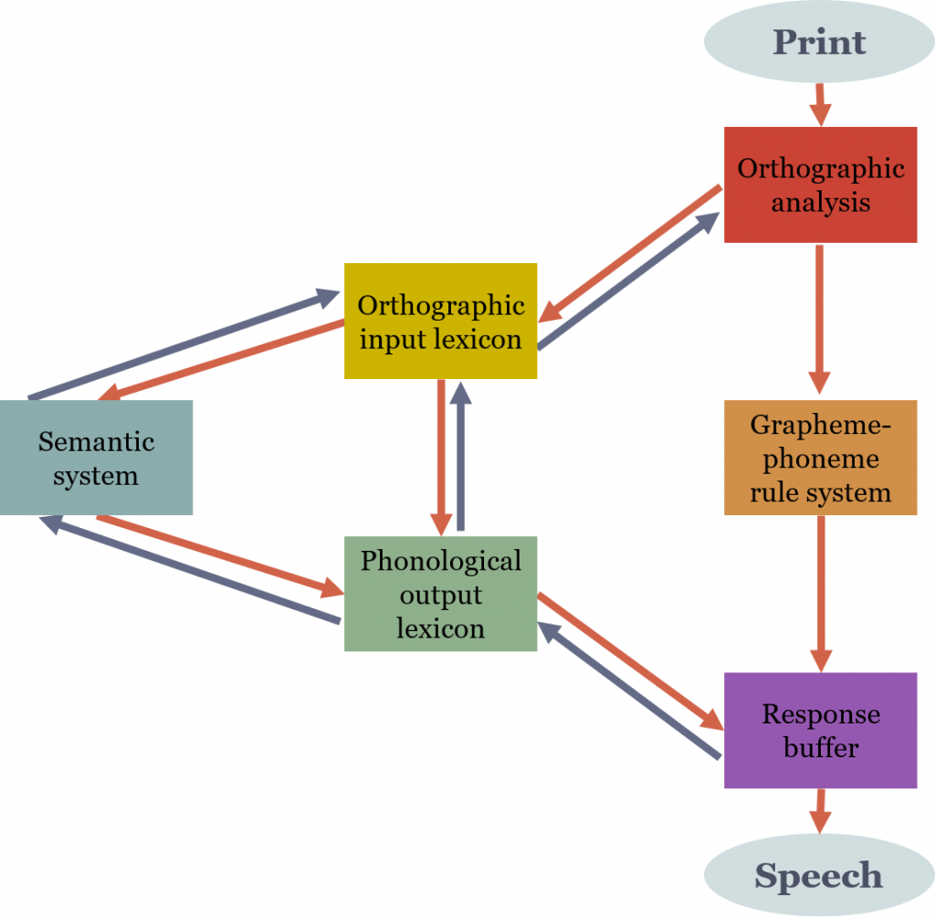 8.1 Reading Models – Psychology of Language