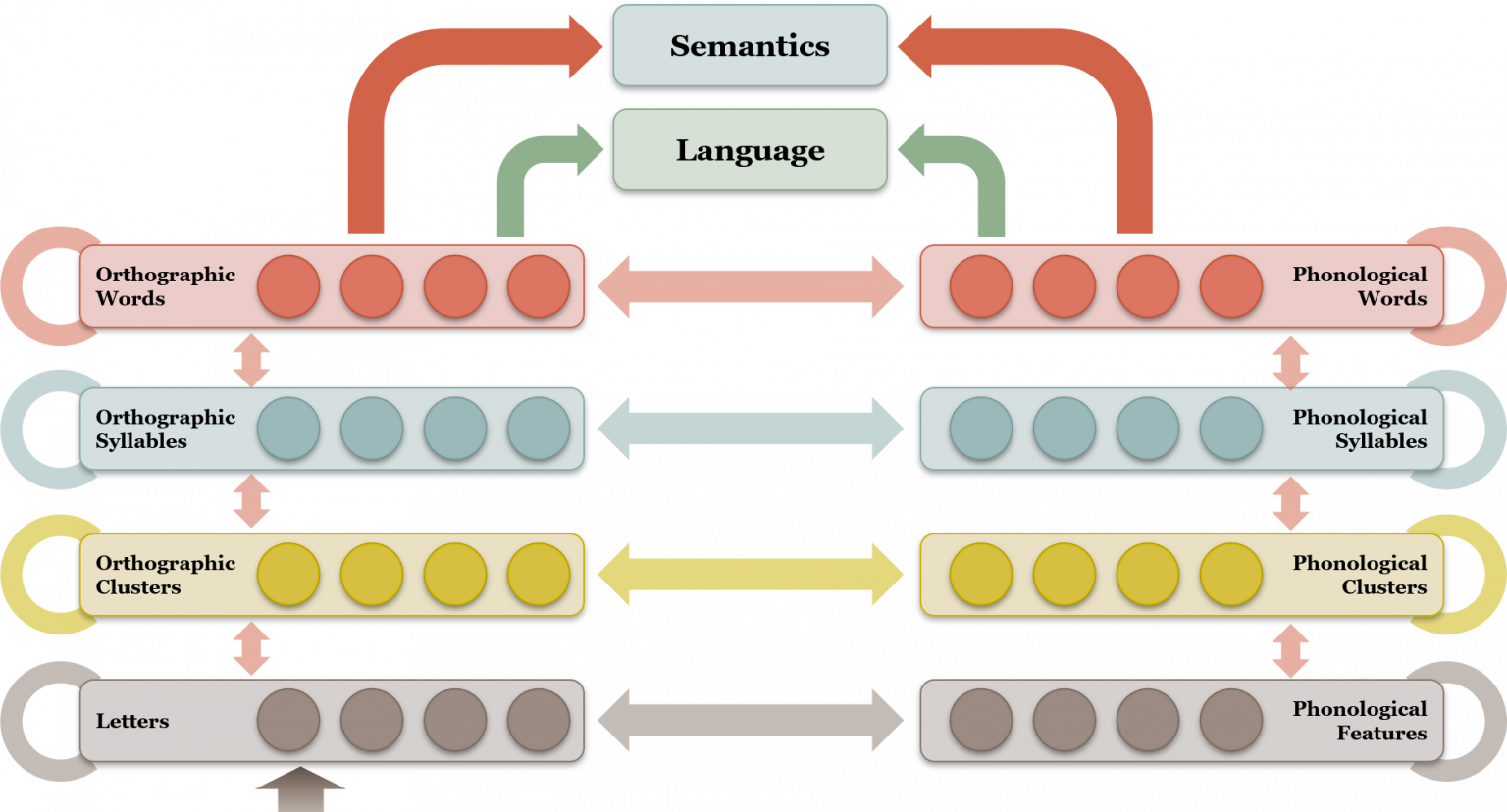 6.3 Models of Bilingualism – Psychology of Language