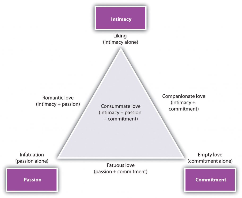 7.2 Close Relationships: Liking and Loving over the Long Term ...