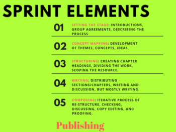 Appendix 5: Deliver the Sprint – Working Group Guide