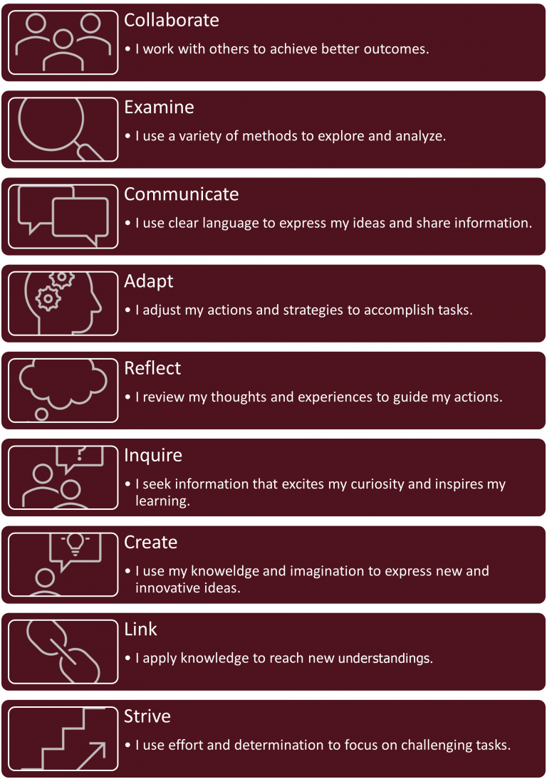 6.5 Critical Thinking and Continuous Learning – Getting Ready for Work-Integrated Learning